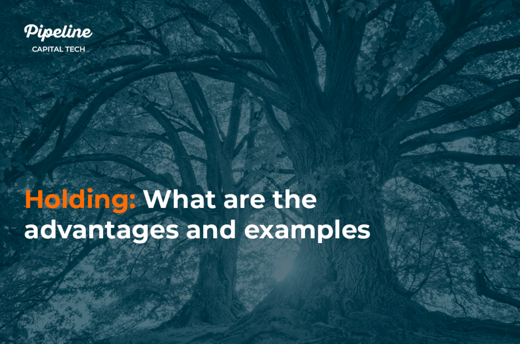 Holding: What are the advantages and examples of Holdings? - Pipeline ...